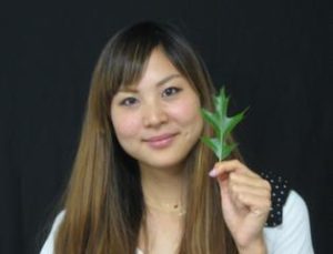 About Leafsnap - LeafSnap