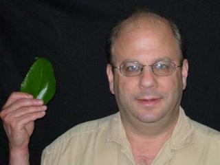 About Leafsnap - LeafSnap