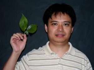 About Leafsnap - LeafSnap