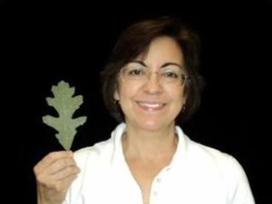 About Leafsnap - LeafSnap