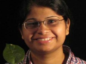 About Leafsnap - LeafSnap