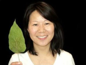 About Leafsnap - LeafSnap