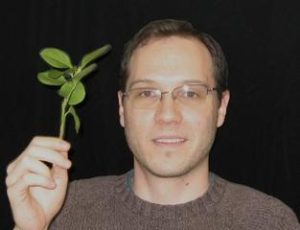 About Leafsnap - LeafSnap