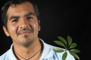 About Leafsnap - LeafSnap