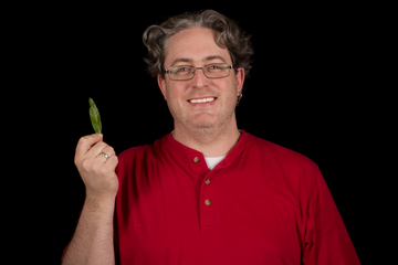 About Leafsnap - LeafSnap