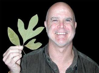 About Leafsnap - LeafSnap