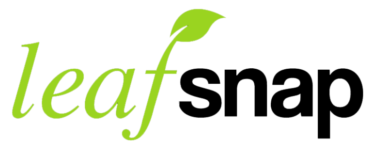 Dermatica: Is This Custom Skincare Offerings Too Good to Be True ...