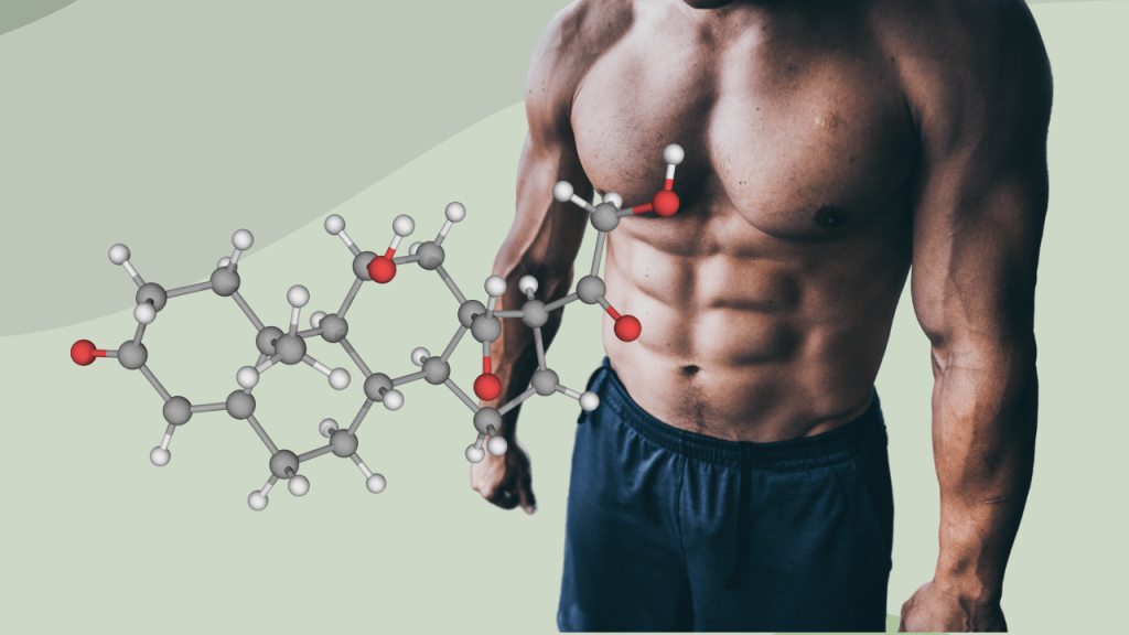 Anabolic Steroid Side Effects That You Need To Know - LeafSnap