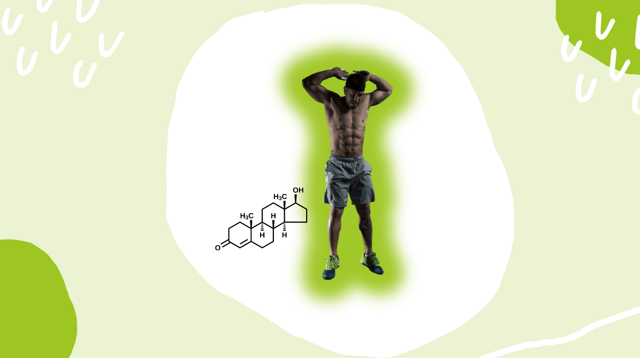 8 mejores maneras de aumentar los niveles de testosterona - LeafSnap